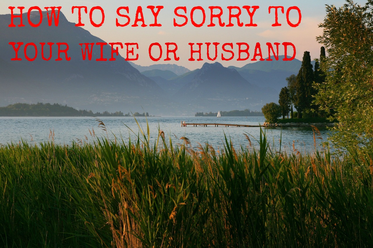 How To Say Sorry To Your Wife Or Husband Using 7 Steps Relationship Life Advocate 